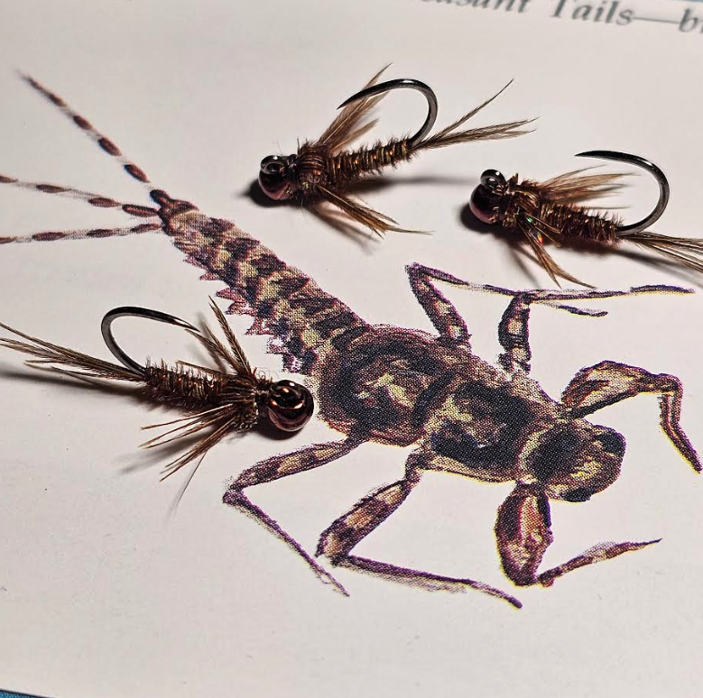 Stillwater Fly Tying with Zach: Expert Tips & Patterns — Fly Life Media